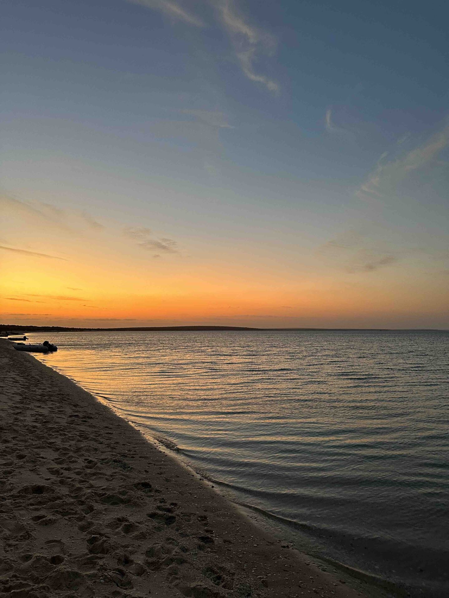 Shark Bay, Western Australia: The Complete Guide